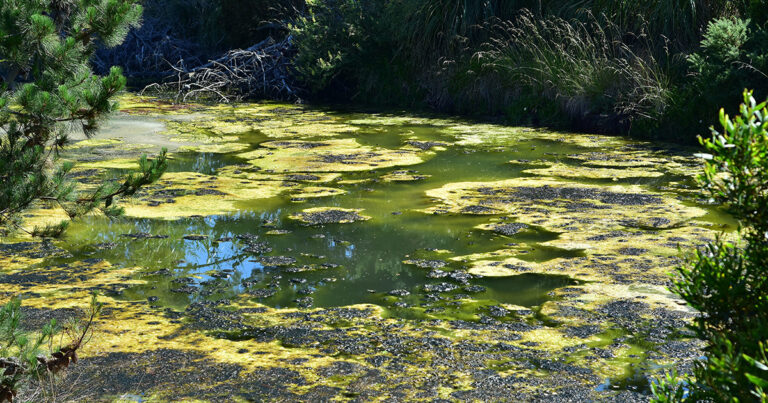 Les étangs lacs et plans d'eau - Syndicat Chère Don Isac