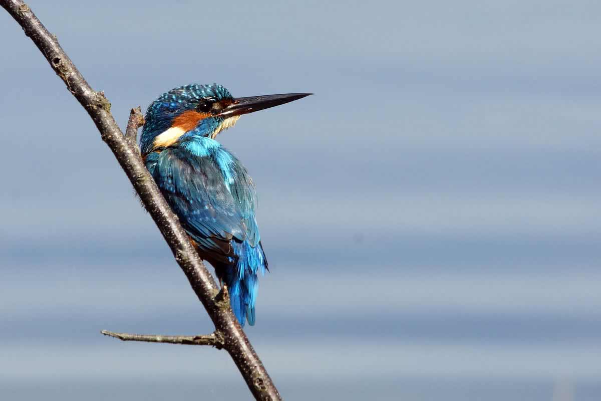 Le territoire - Syndicat Chère Don Isac